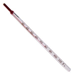 Spare Thermometer for Elcometer 116C Sling Hygrometer | °F